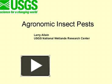 PPT – Agronomic Insect Pests PowerPoint presentation | free to view ...