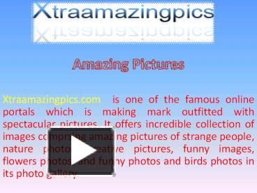 PPT – Amazing Photographs PowerPoint presentation | free to download ...
