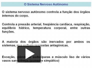 PPT – O Sistema Nervoso Aut PowerPoint presentation | free to download ...