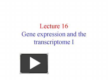 Lecture 16 Gene expression and the transcriptome I presentation | free ...