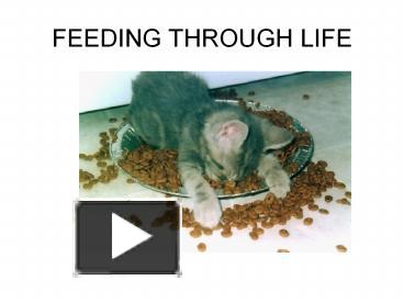 FEEDING THROUGH LIFE presentation | free to view