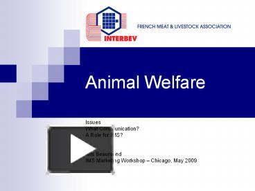 PPT – Animal Welfare PowerPoint presentation | free to view - id: 5aa36 ...