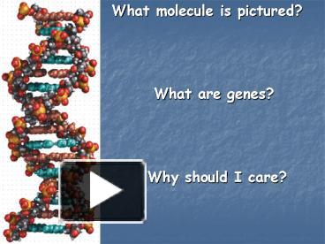 PPT – What molecule is pictured? PowerPoint presentation | free to ...