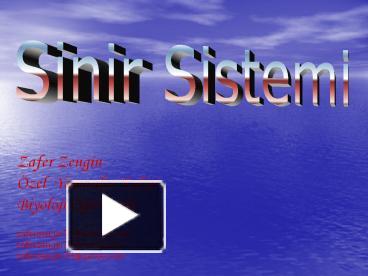 PPT – Slayt 1 PowerPoint presentation | free to view - id: 5b4bef-ZDZkO