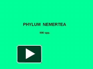 Diapositiva 1 presentation | free to download