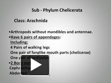 Sub - Phylum Chelicerata presentation | free to download