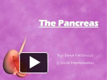PPT – The Pancreas PowerPoint presentation | free to download - id ...