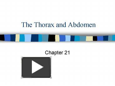 The Thorax and Abdomen presentation | free to view