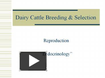 PPT – Dairy Cattle Breeding PowerPoint presentation | free to download ...