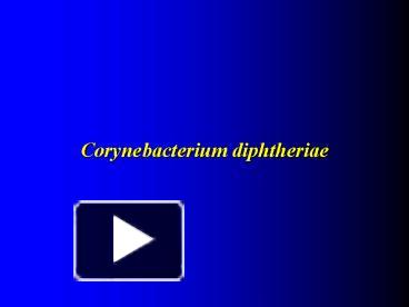 Corynebacterium diphtheriae presentation | free to view