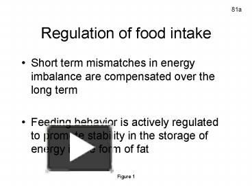 Regulation of food intake presentation | free to view
