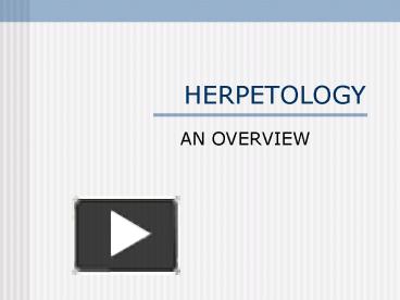 PPT – HERPETOLOGY PowerPoint presentation | free to view - id: 5e354-ZDc1Z