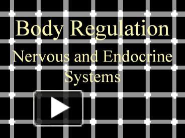 Body Regulation presentation | free to download