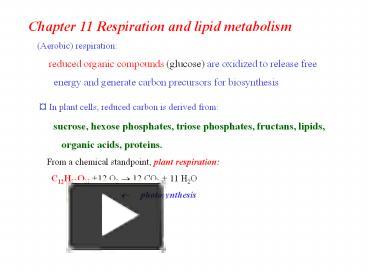 PPT – Chapter 11 Respiration and lipid metabolism PowerPoint ...