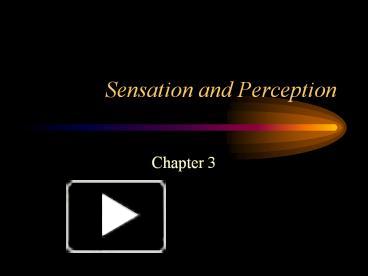 Sensation and Perception presentation | free to view