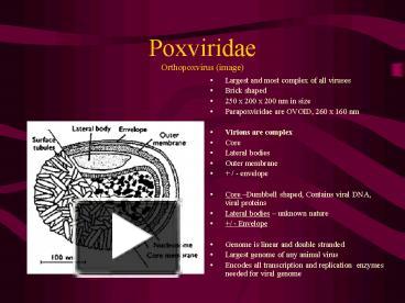 Poxviridae Orthopoxvirus (image) presentation | free to view