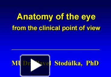 Anatomie presentation | free to download