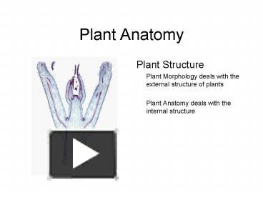 Plant Anatomy presentation | free to view