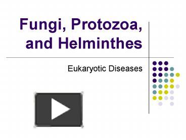 Fungi, Protozoa, and Helminthes presentation | free to view