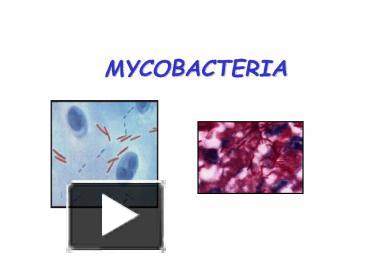 MYCOBACTERIA presentation | free to download