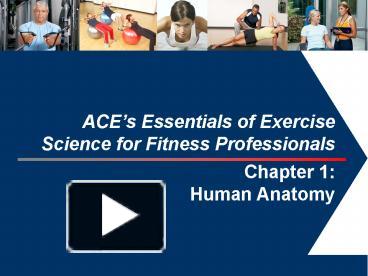 ACE presentation | free to download
