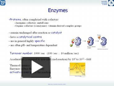 Enzymes presentation | free to download