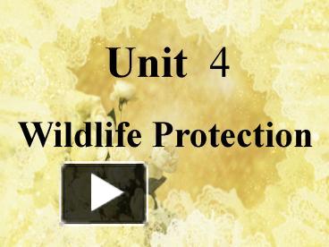 Wildlife Protection presentation | free to view