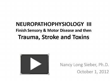 PPT – NEUROPATHOPHYSIOLOGY III Finish Sensory PowerPoint presentation ...