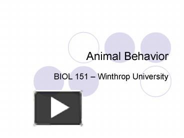 Animal Behavior presentation | free to view