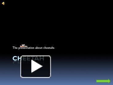 PPT – Cheetah PowerPoint presentation | free to view - id: 6136b4-NDRmM