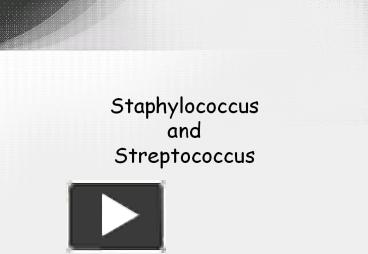 Staphylococcus and Streptococcus presentation | free to view
