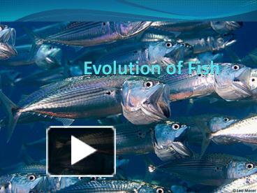 Evolution of Fish presentation | free to view