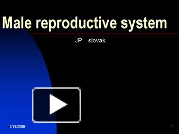 Male reproductive system presentation | free to view