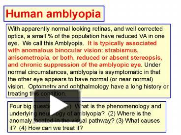 PPT – Human amblyopia PowerPoint presentation | free to view - id ...