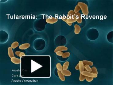 Tularemia: The Rabbit presentation | free to download