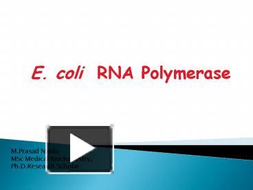 PPT – E.coli RNA polymerase PowerPoint presentation | free to download ...