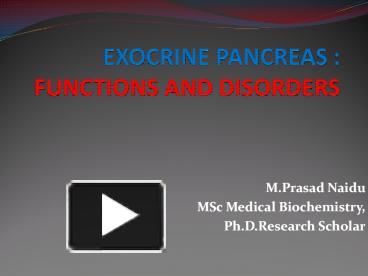 Pancreas function presentation | free to download