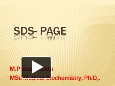 SDS-PAGE (1) presentation | free to download