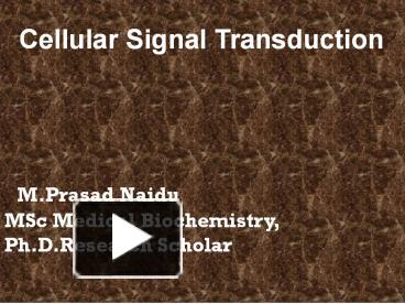 PPT – Signal transduction PowerPoint presentation | free to download ...
