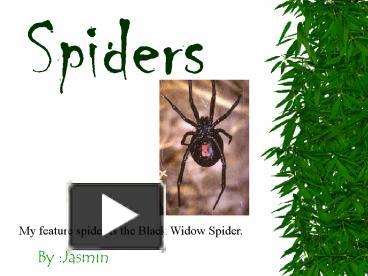 Spiders presentation | free to view
