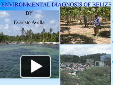 PPT – ENVIRONMENTAL DIAGNOSIS OF BELIZE PowerPoint presentation | free ...