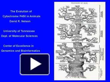 The Evolution of presentation | free to view