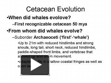 PPT – Cetacean Evolution PowerPoint presentation | free to view - id ...