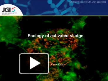 PPT – Ecology of activated sludge PowerPoint presentation | free to ...