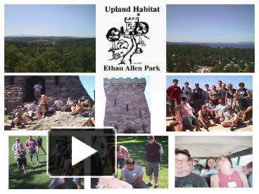 Pine tree core sample presentation | free to download