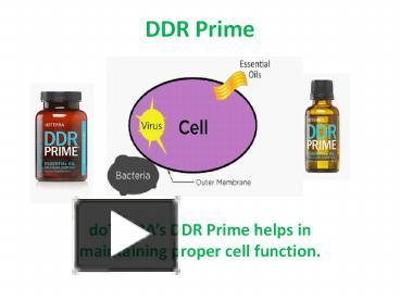 PPT – DDR Prime PowerPoint presentation | free to download - id: 6446c1 ...