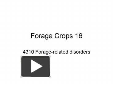 Forage Crops 16 presentation | free to view