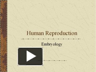 Human Reproduction presentation | free to download
