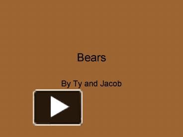 PPT – Bears PowerPoint presentation | free to view - id: 6495d-OGZhN