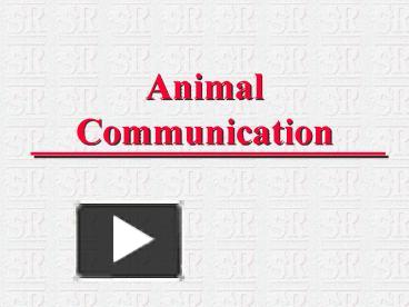 Animal Communication presentation | free to view